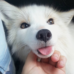 RIKID — все посты пользователя по времени