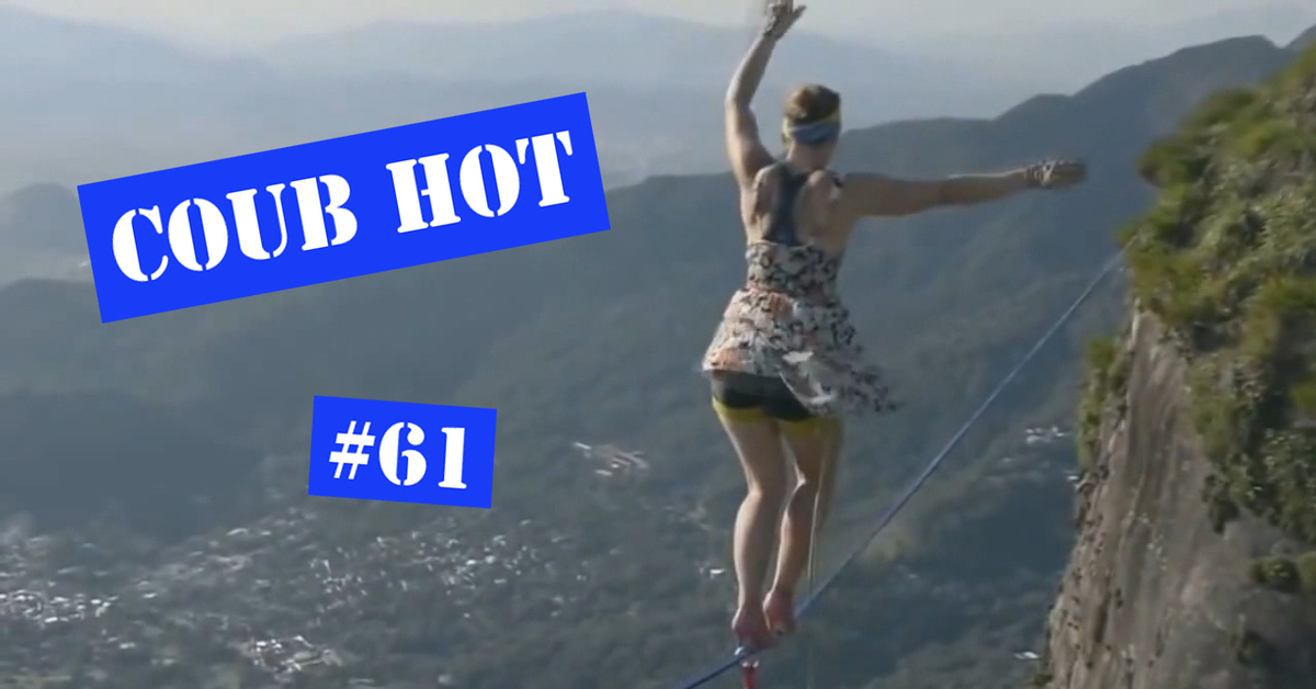 Горячее в coub #61 | Пикабу