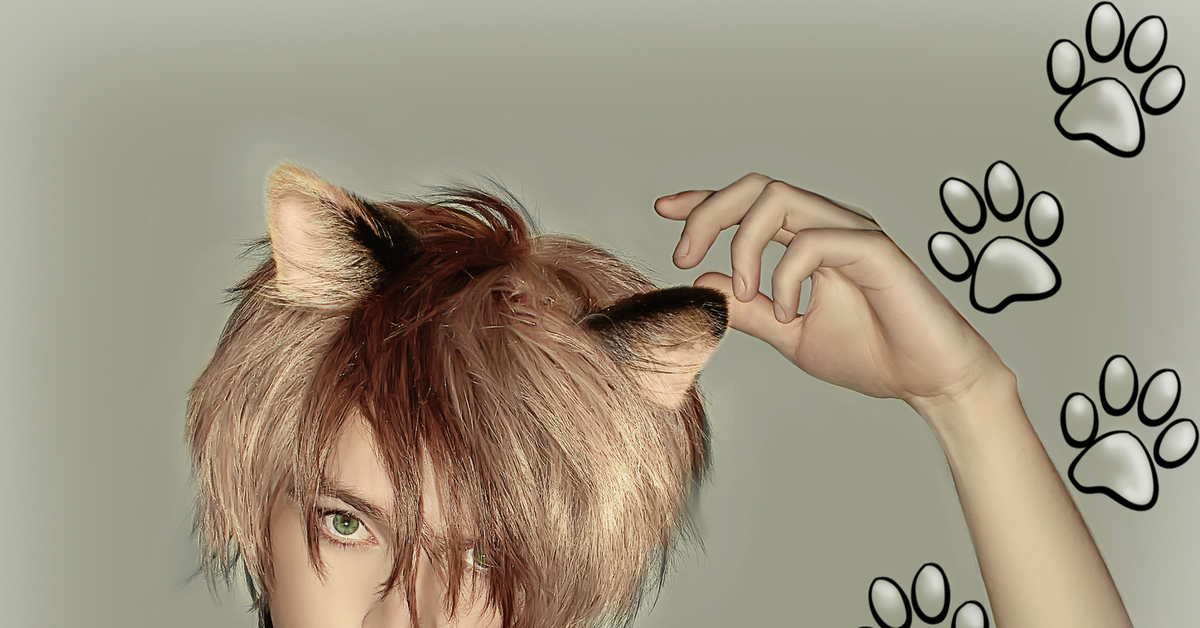 Neko kun | Пикабу