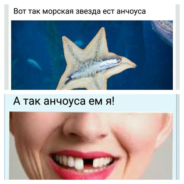 Пятница, пиво, рыба... | Пикабу