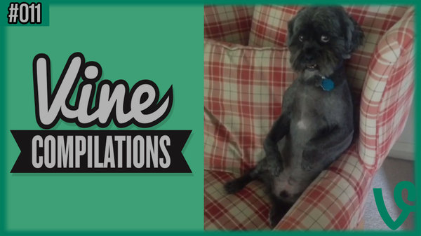 Самые Лучшие Приколы Vine | Best Vines Compilation | Best Viners April ...