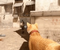 Cat Strike: Source | Пикабу