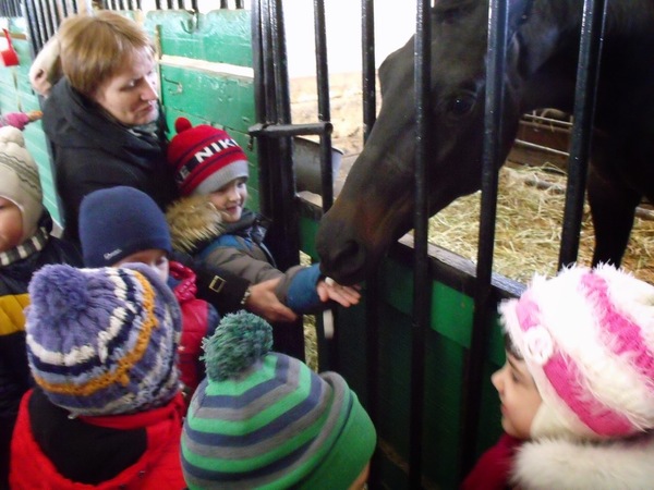 Гиппофобия (Hippophobia) - боязнь лошадей. - 29.04.16 19:29 | Пикабу