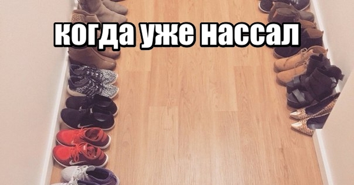 Нассал в тапки | Пикабу