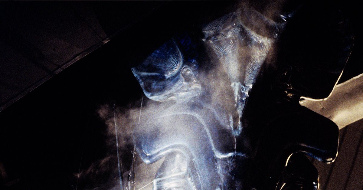 Alien | Пикабу