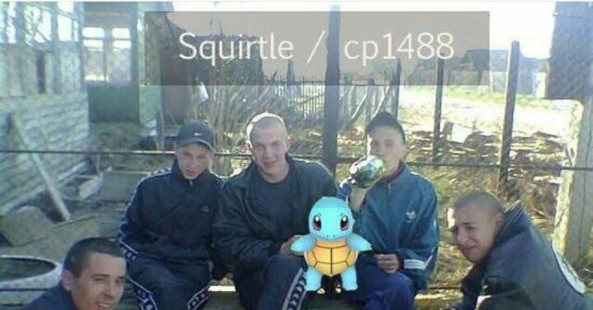 Squirtle никогда мне не нравился | Пикабу