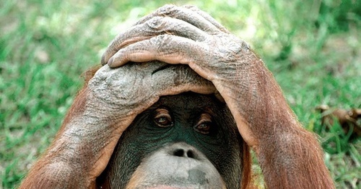 Что то пошло не так [2] | Пикабу