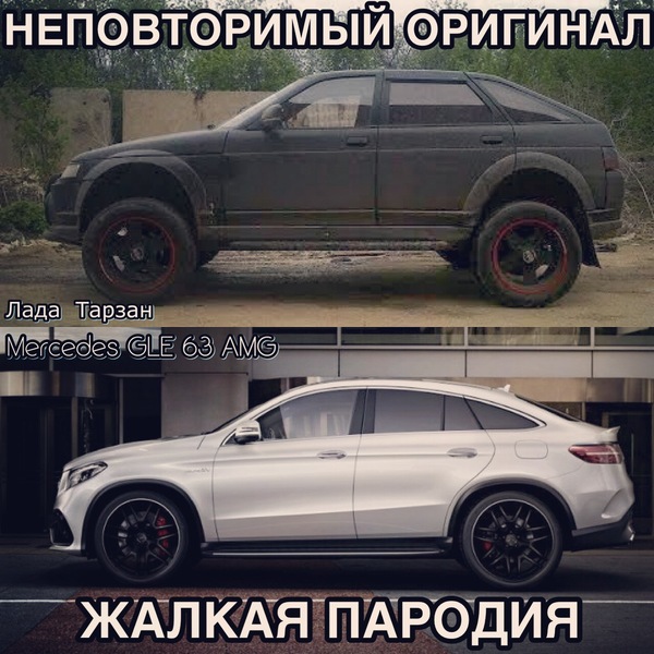 Тазы рулят | Пикабу