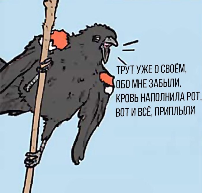 Восхитительно... | Пикабу