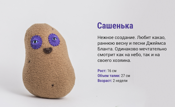 Плюшевые сувенирные картохи из Беларуси | Пикабу