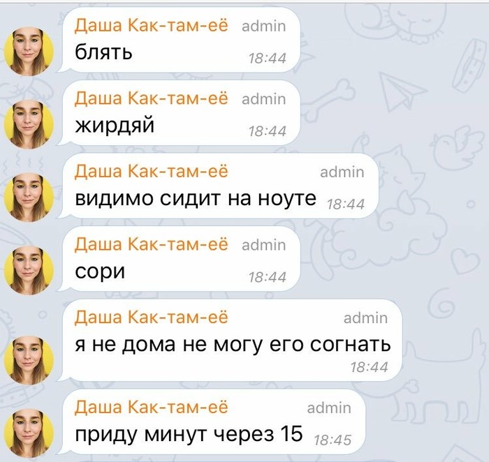 История одного кота. | Пикабу