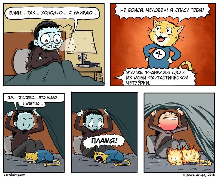 Котэ-факел | Пикабу