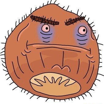 Zdarova | Пикабу