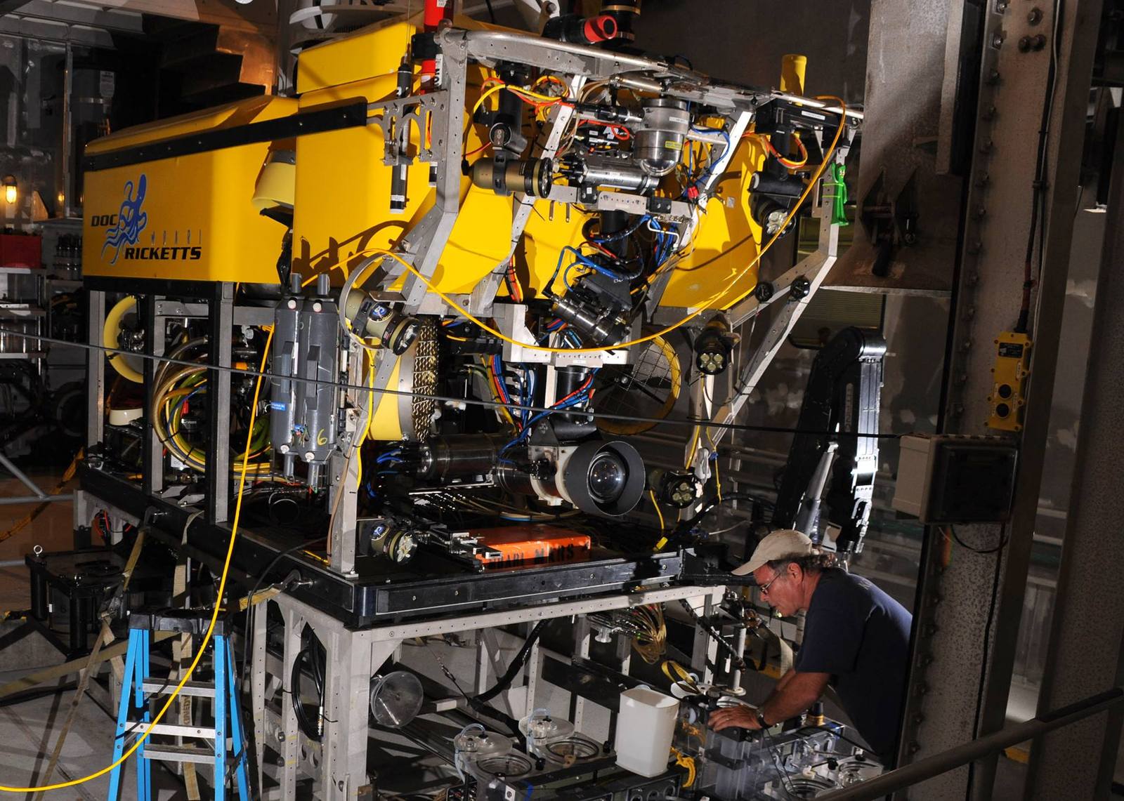 Ферма морских чудовищ - 15.01.16 20:53 | Пикабу