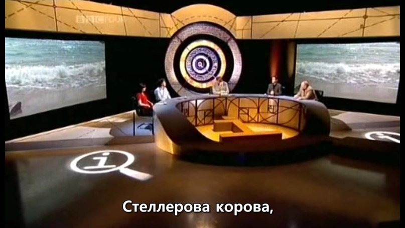 Наживка для моряков | Пикабу