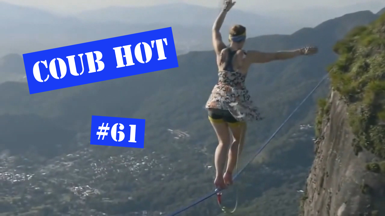 Горячее в coub #61 | Пикабу