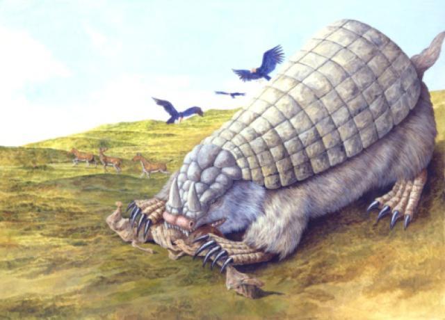 Пельтефил - 05.02.16 11:12 | Пикабу