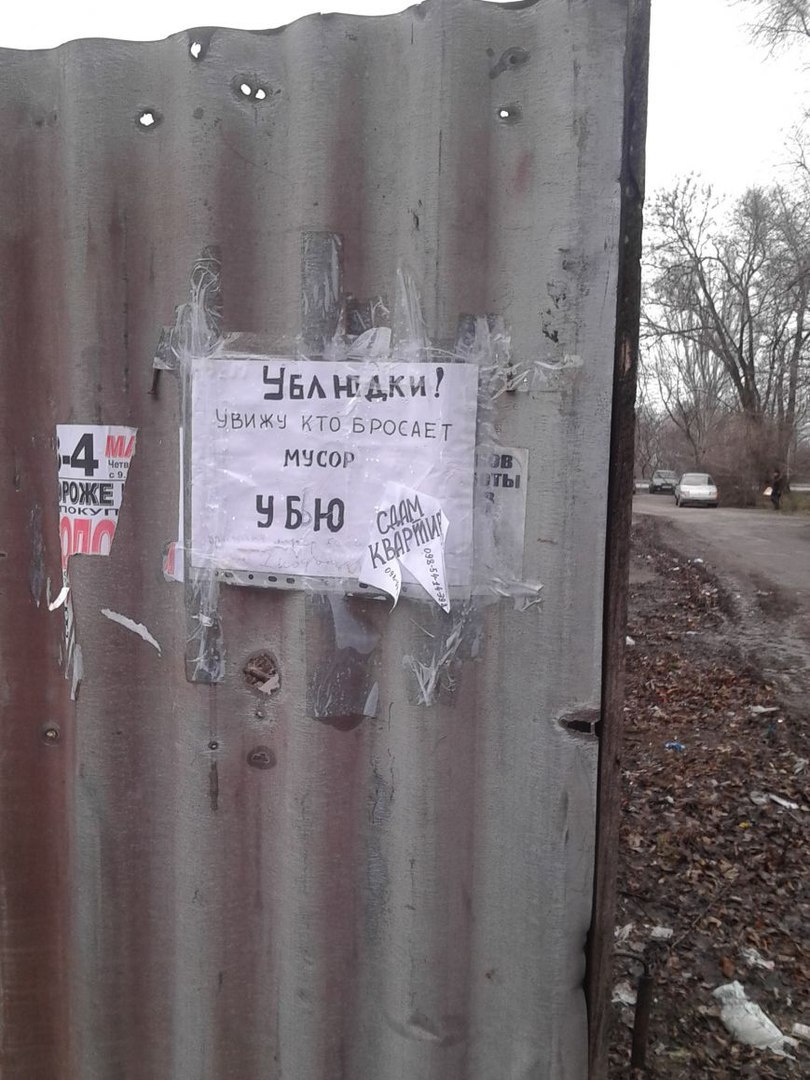 Чистота или смерть... | Пикабу