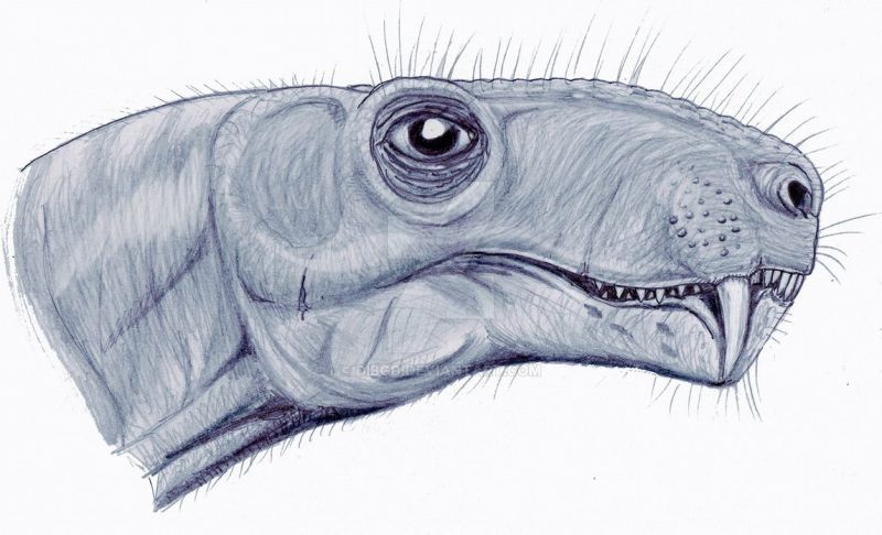 Православлевия - 08.03.16 12:59 | Пикабу