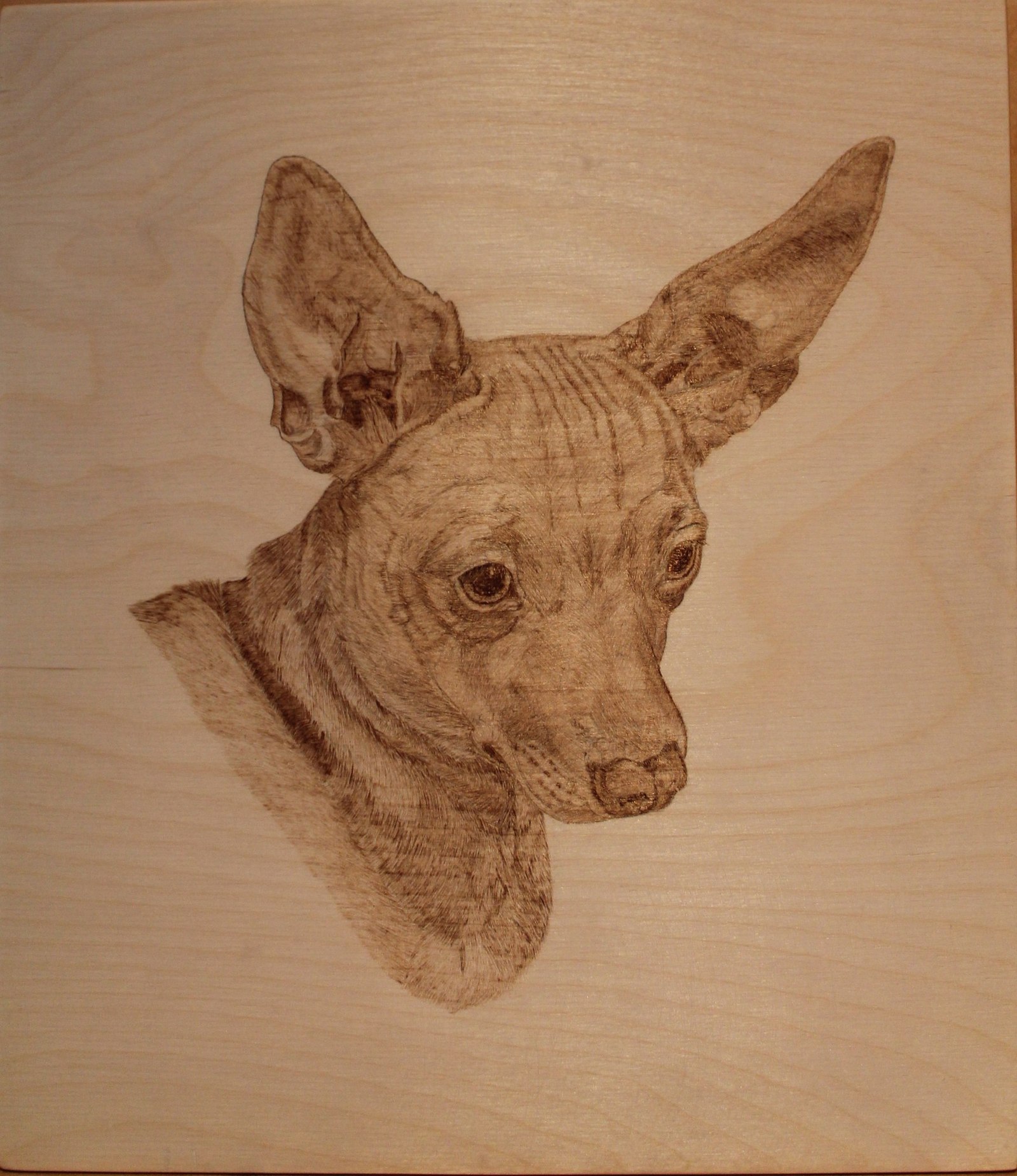 Портрет собачки (выжигание по фото) | Пикабу