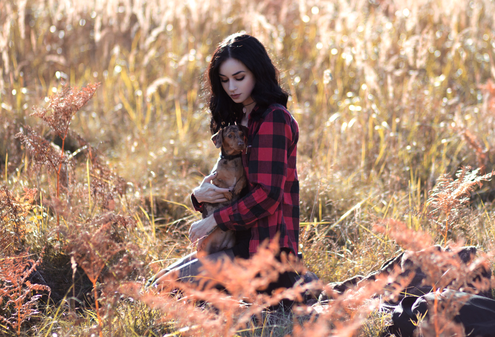 FELICE FAWN | Пикабу