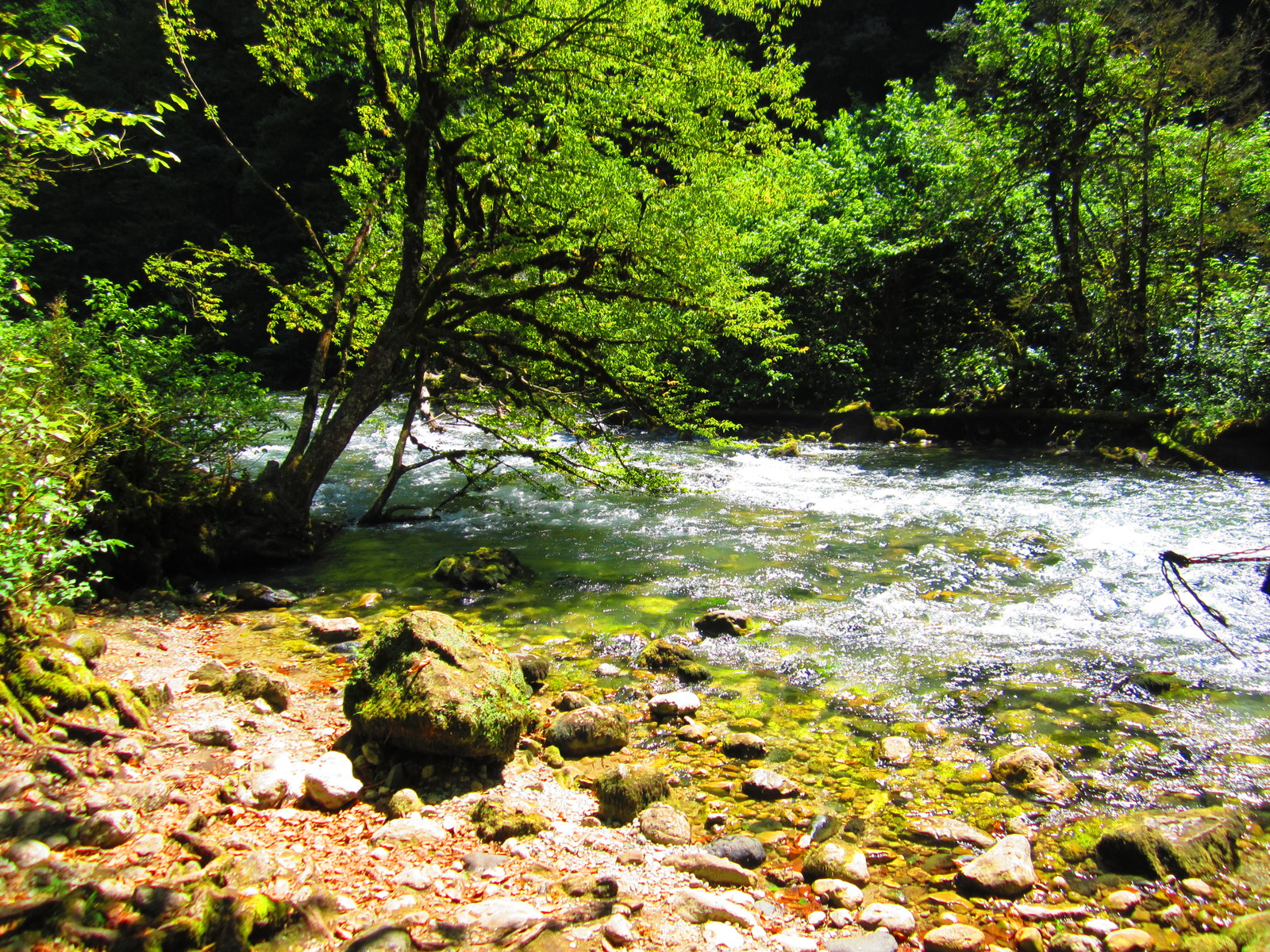 Природа разных мест | Пикабу