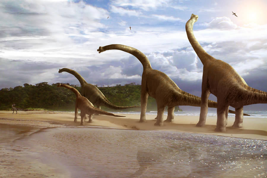 Зауроподы - самые большие динозавры когда либо ходившие по земле. | Пикабу