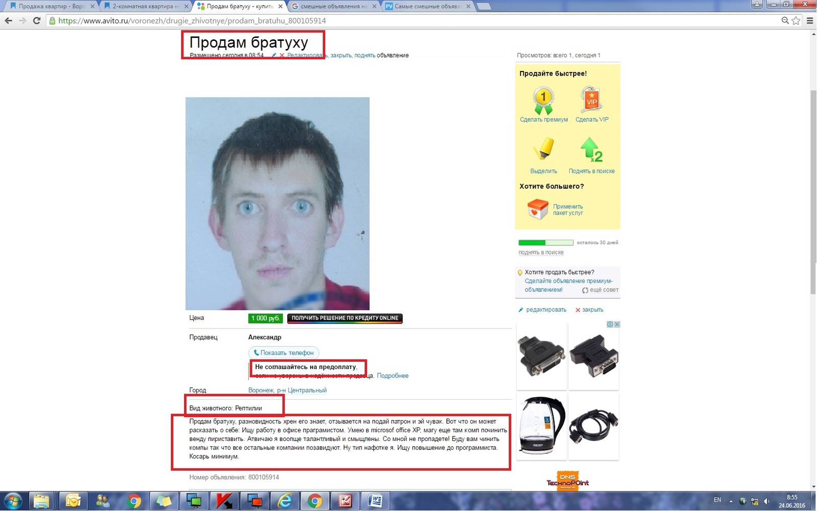 Продам братуху | Пикабу