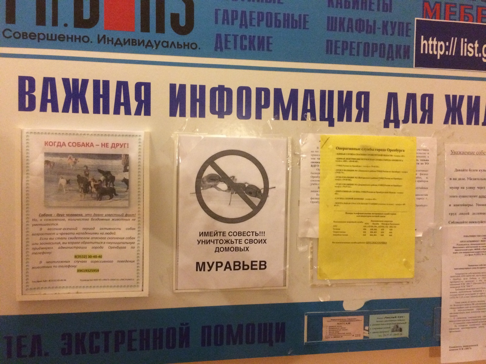 Тайная жизнь домашних животных Пикабу