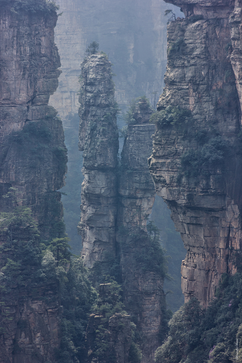 Пандора | Пикабу