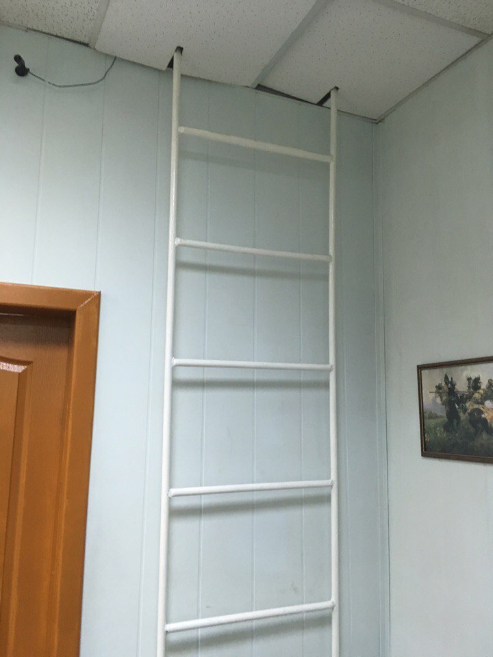 Мое продвижение по карьерной лестнице | Пикабу