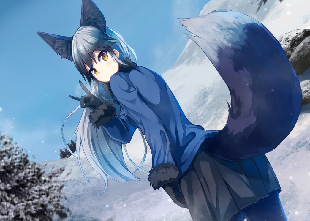 Silver Fox | Пикабу