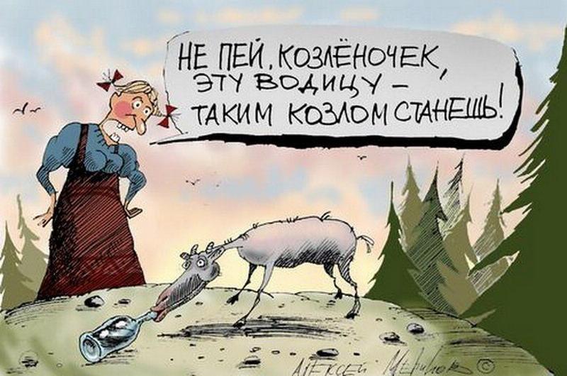Вред алкоголя... | Пикабу