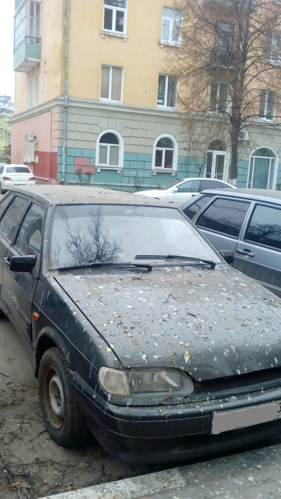 Неповезло | Пикабу