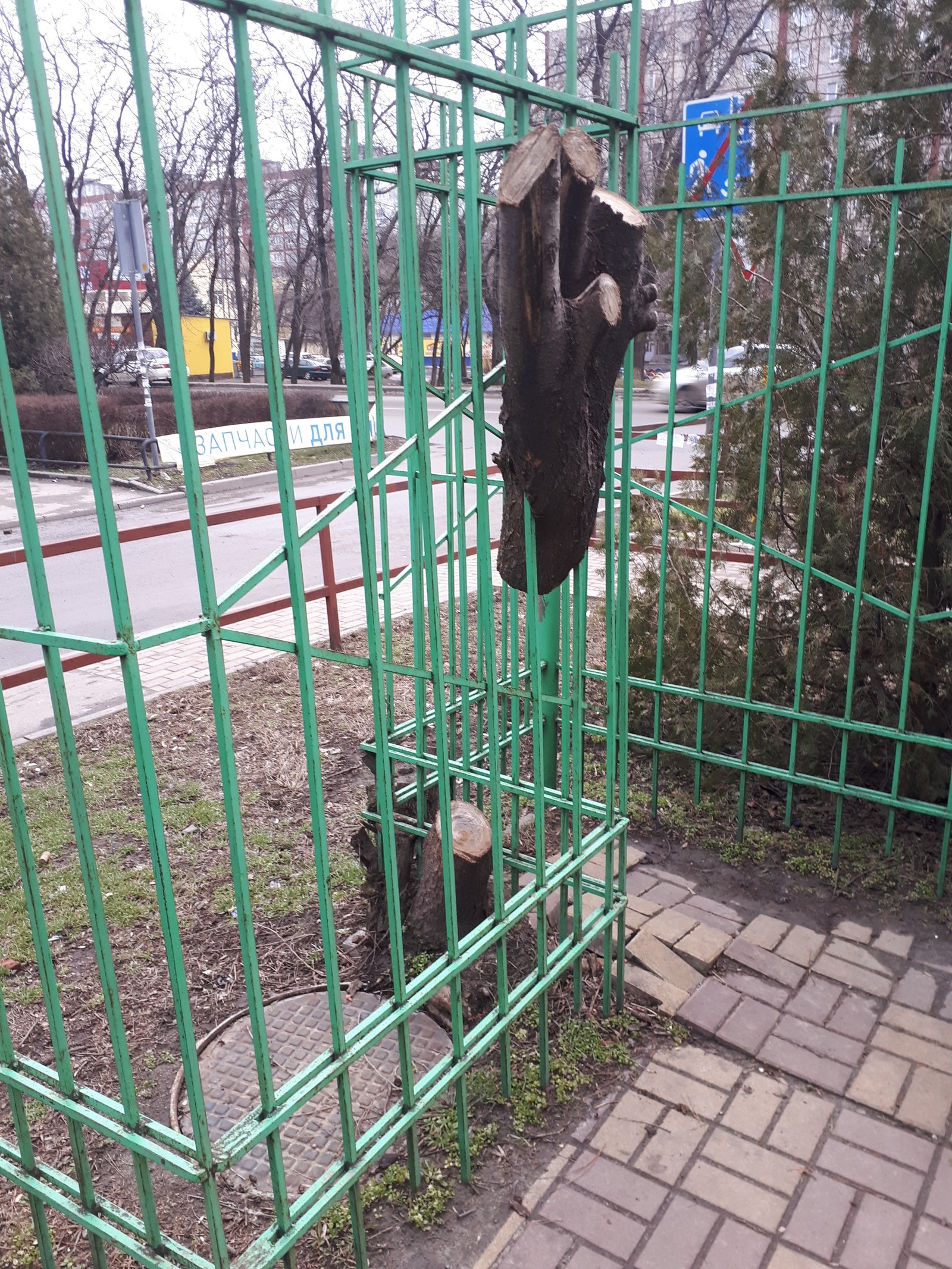 Побег... | Пикабу