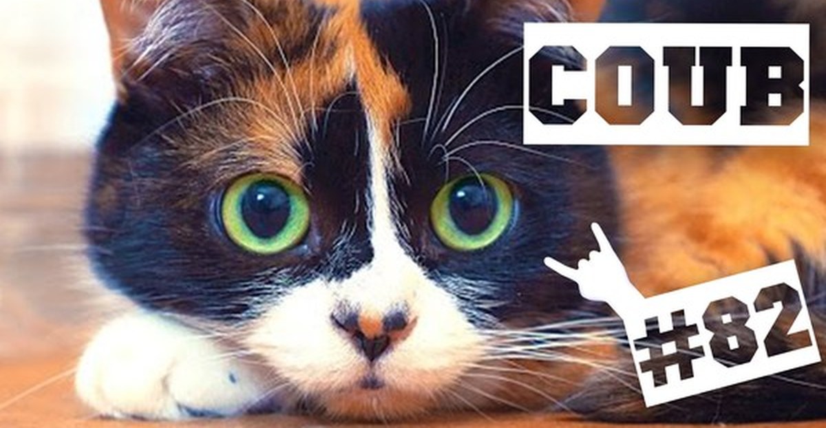 ЛУЧШИЕ COUB 'ики #82: SlivkiShow | Пикабу