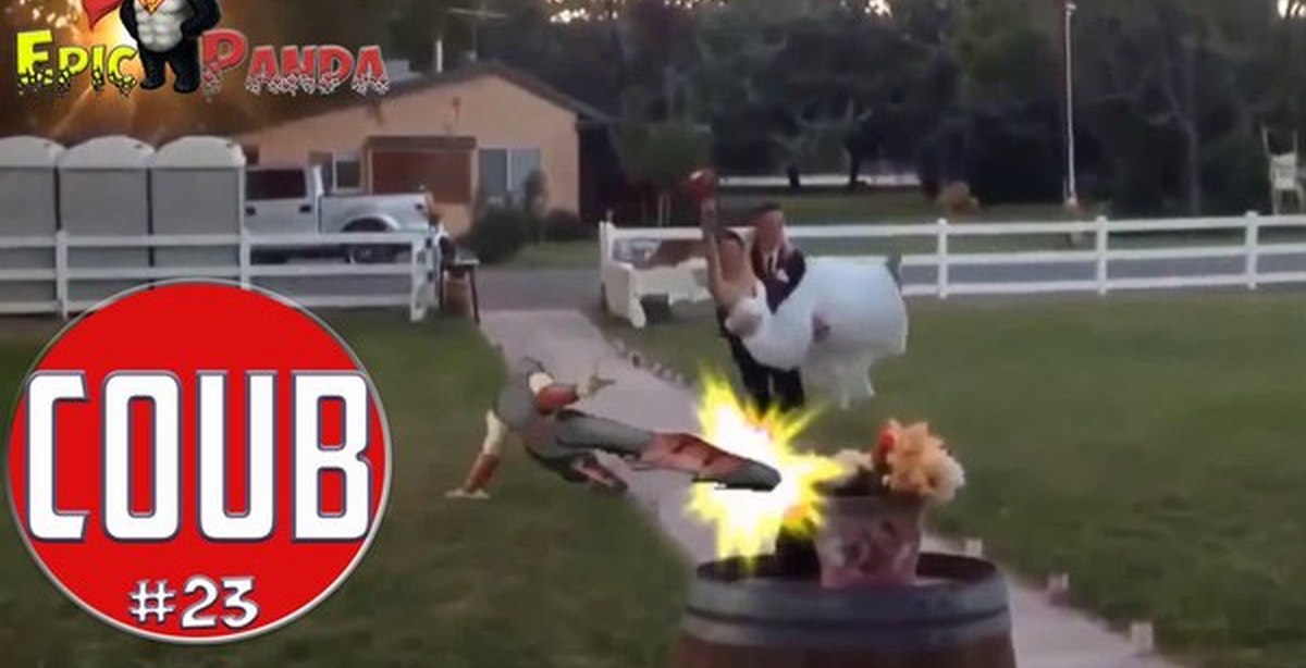 Похождения эпического ниндзя. (Подборка Coub) | Пикабу