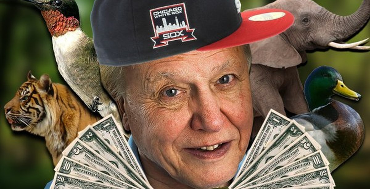 MLG animals | Пикабу